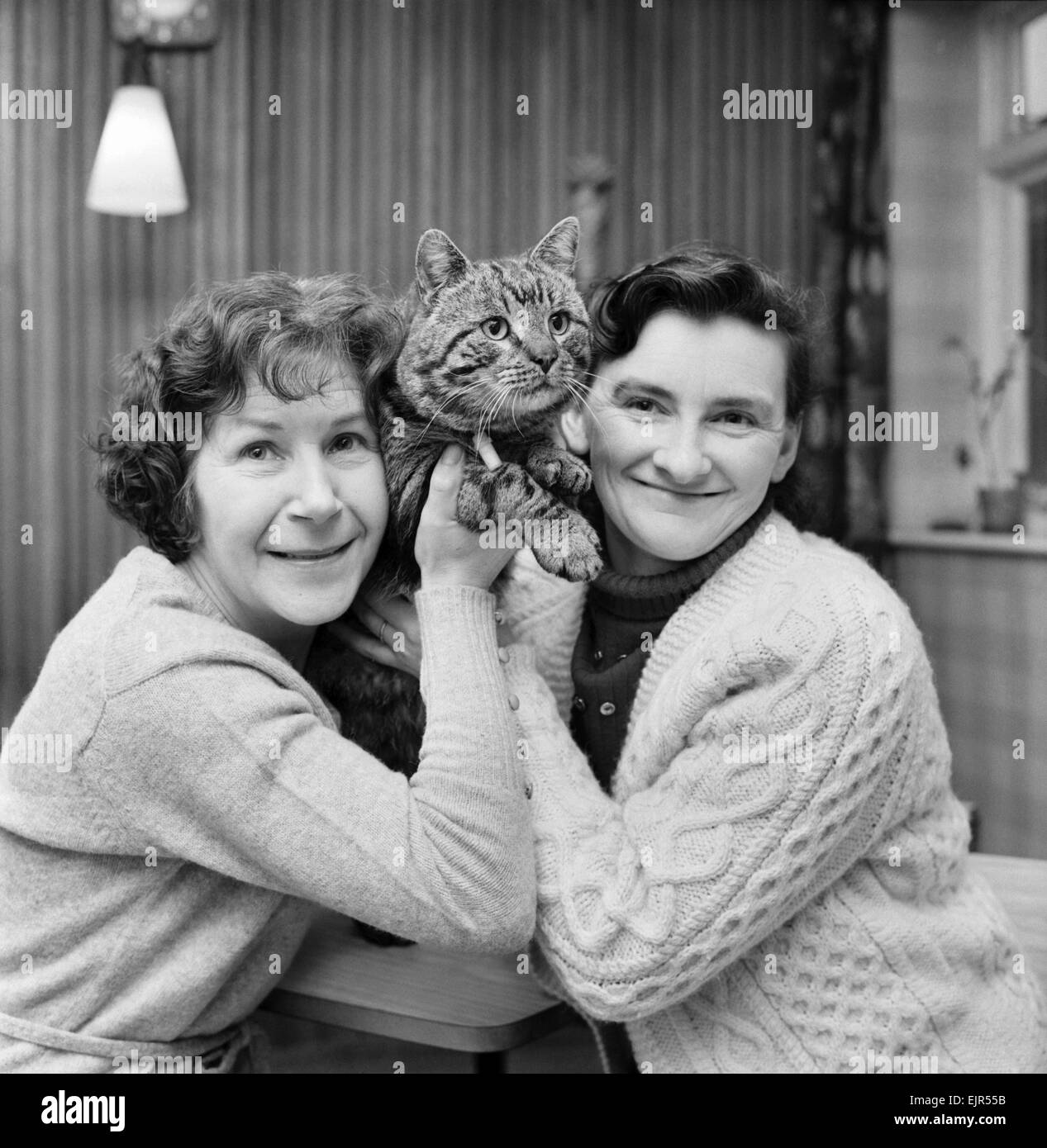 1482 hi-res stock photography and images - Alamy