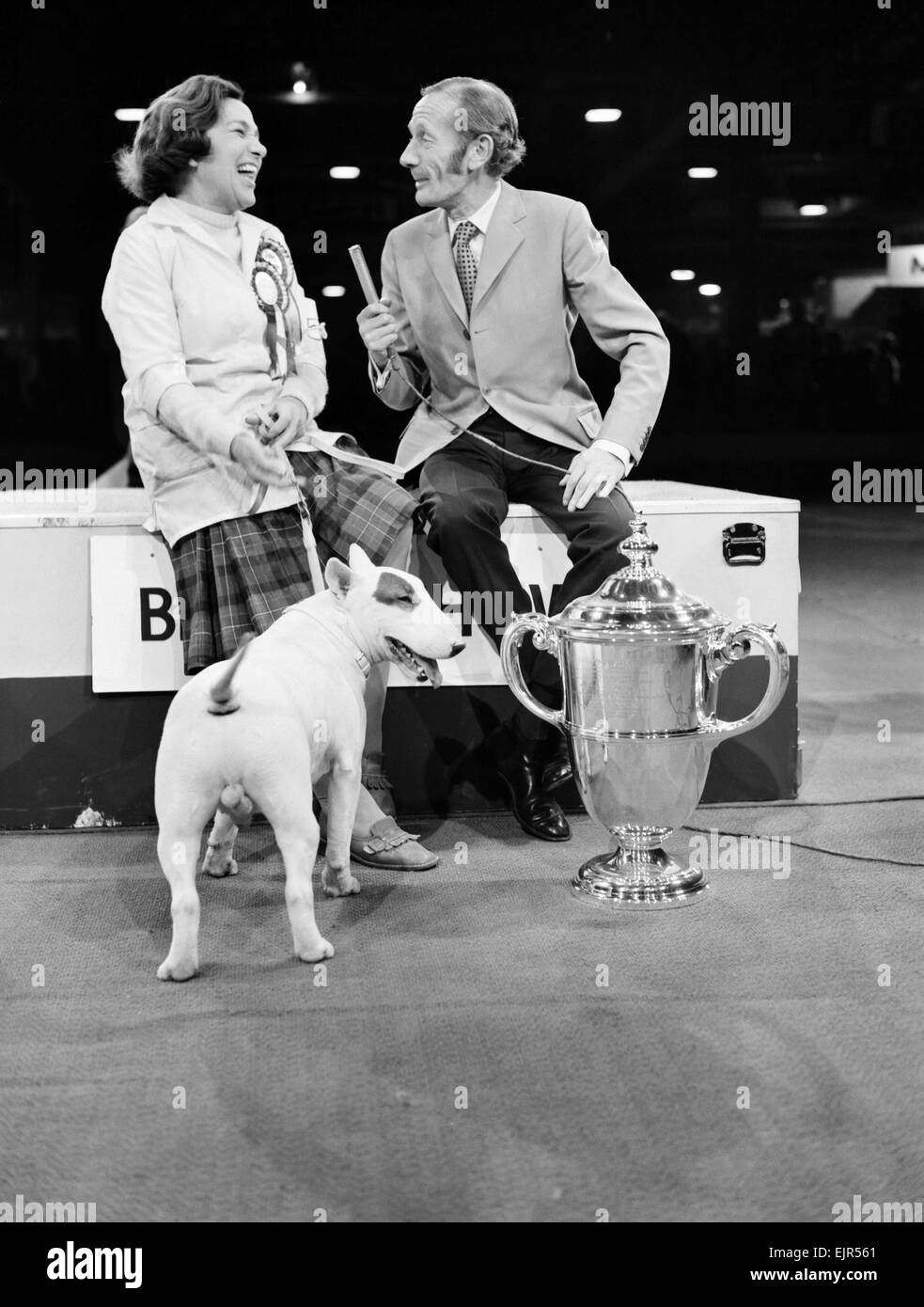 Britain's top dog is white bull terrier - Champion Abraxas Audacity ...