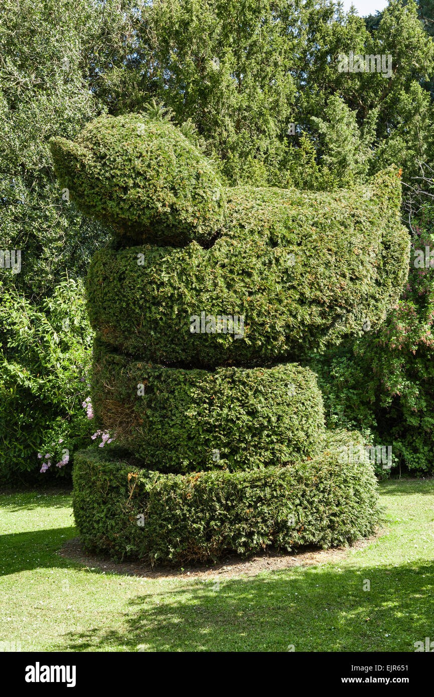 A giant topiary duck made from a clipped yew tree, in an English ...