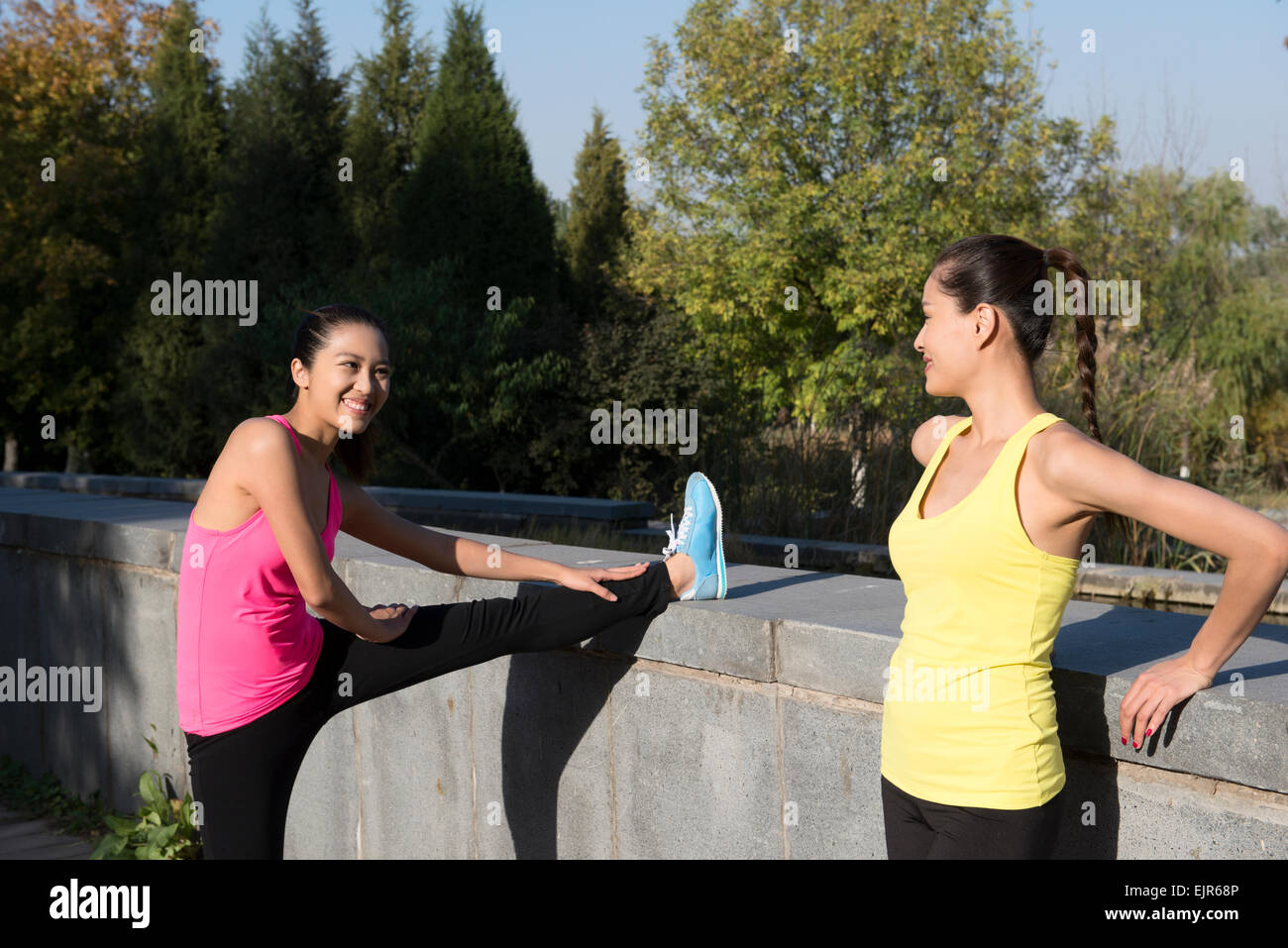 Young women stretching Stock Photo - Alamy