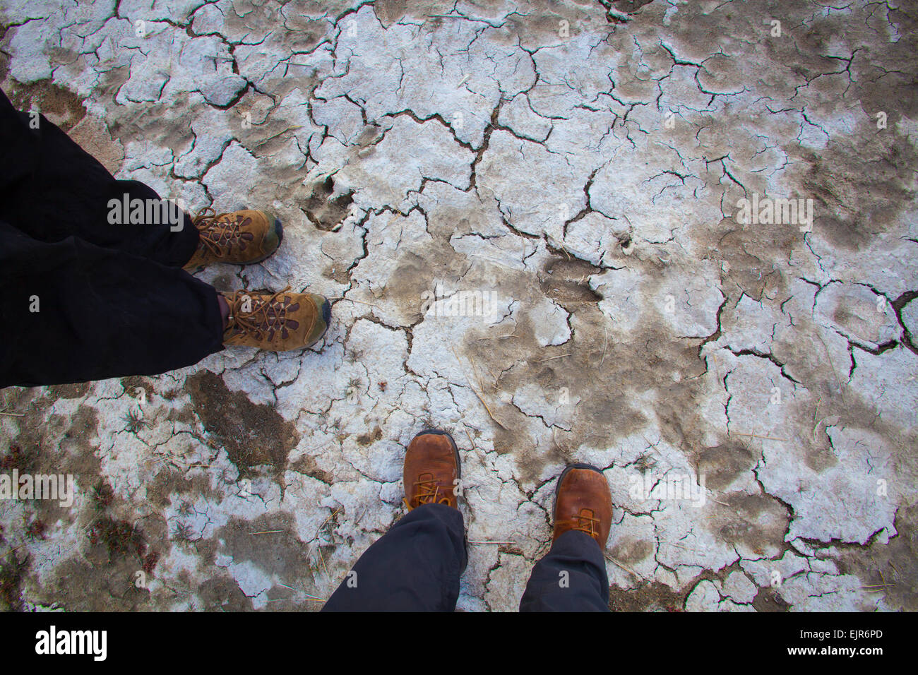 Wide angled lens shot of photographer, partner and Guanaco footprints ...