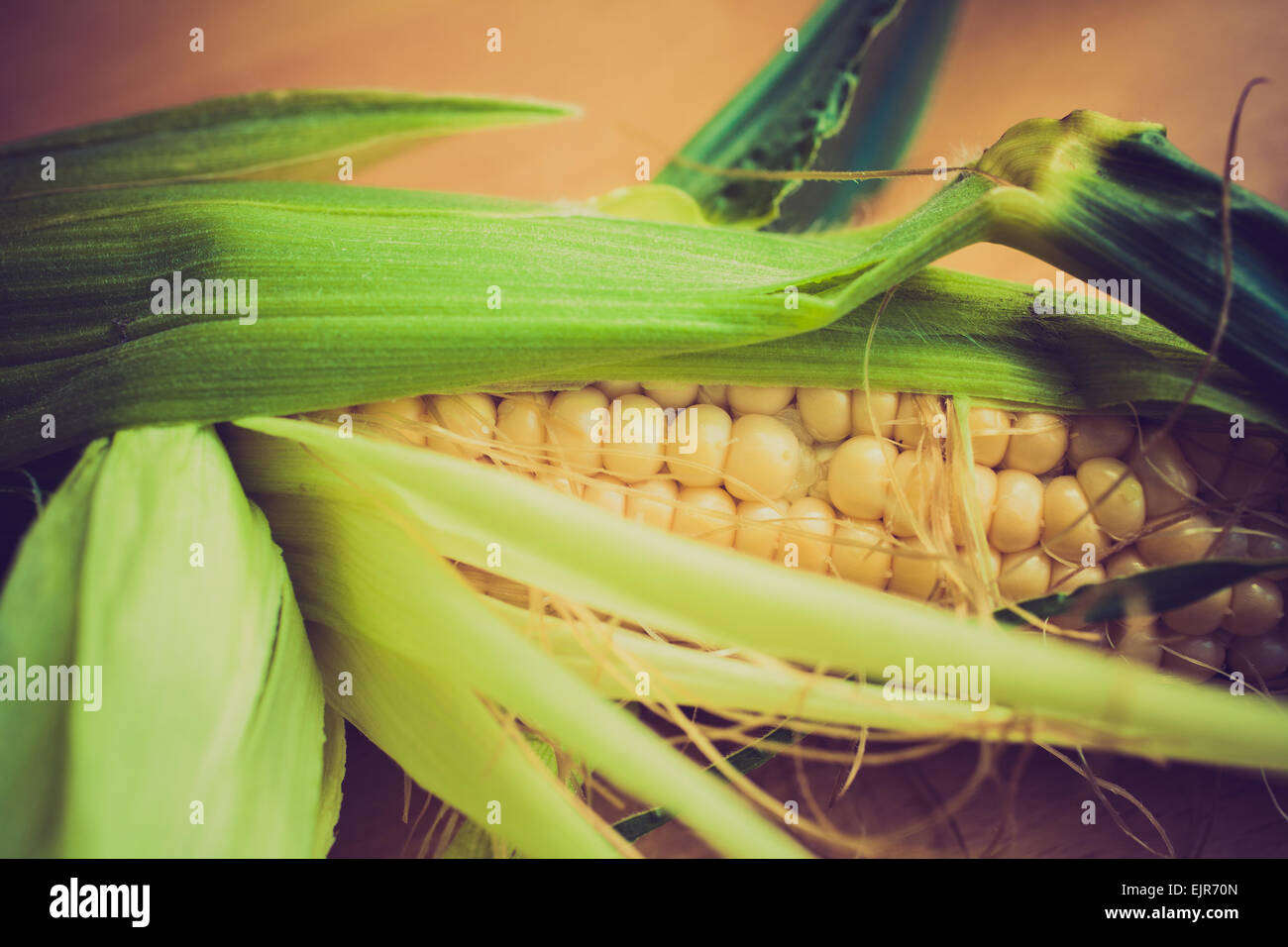 Closeup of sweetcorn being revealed from the husk Stock Photo - Alamy