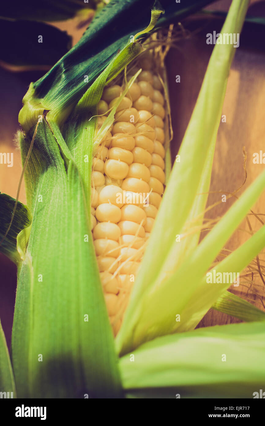 Closeup of sweetcorn being revealed from the husk Stock Photo - Alamy
