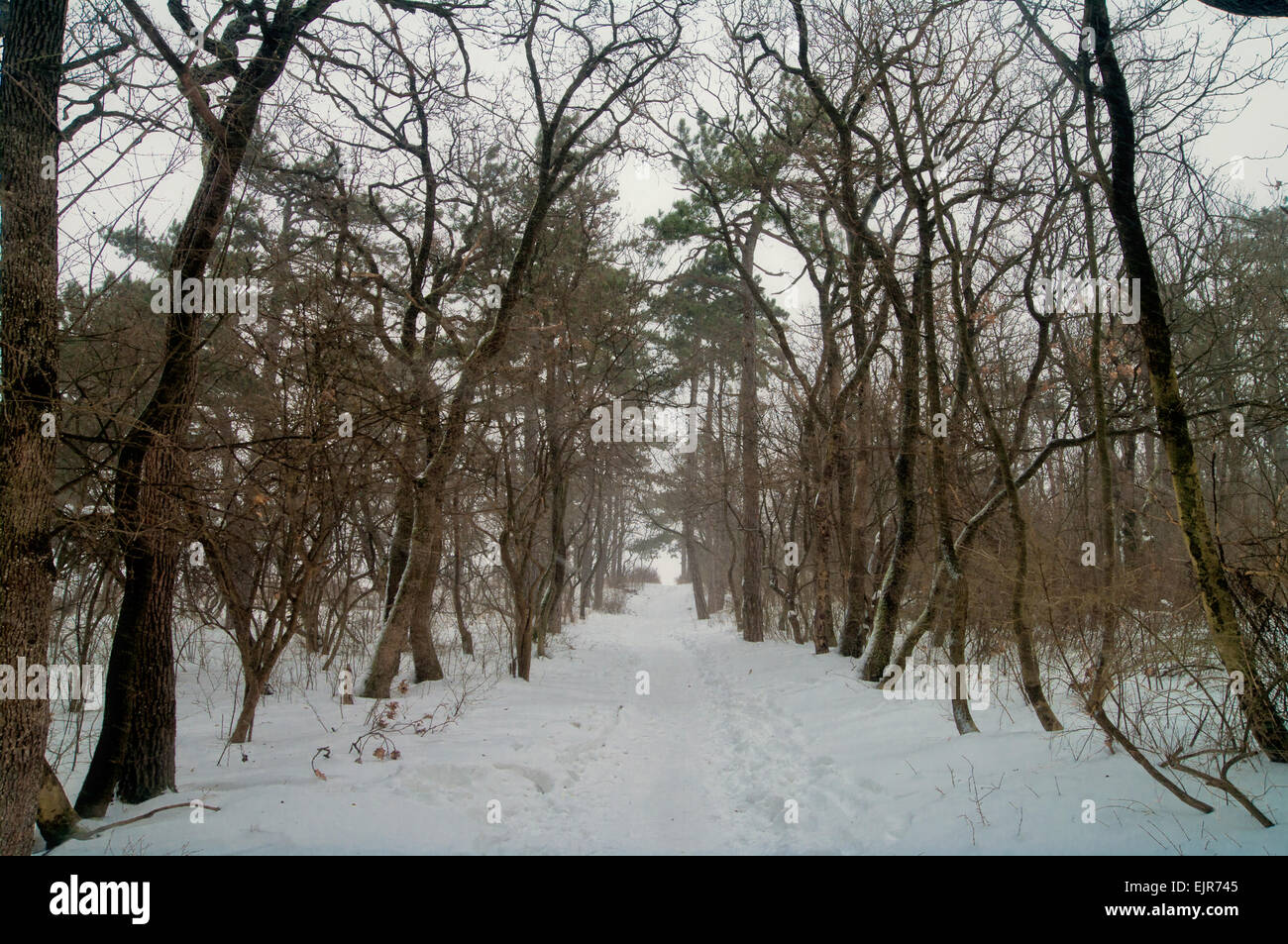 background beautiful beauty chill cold color colorful cool day europe ...