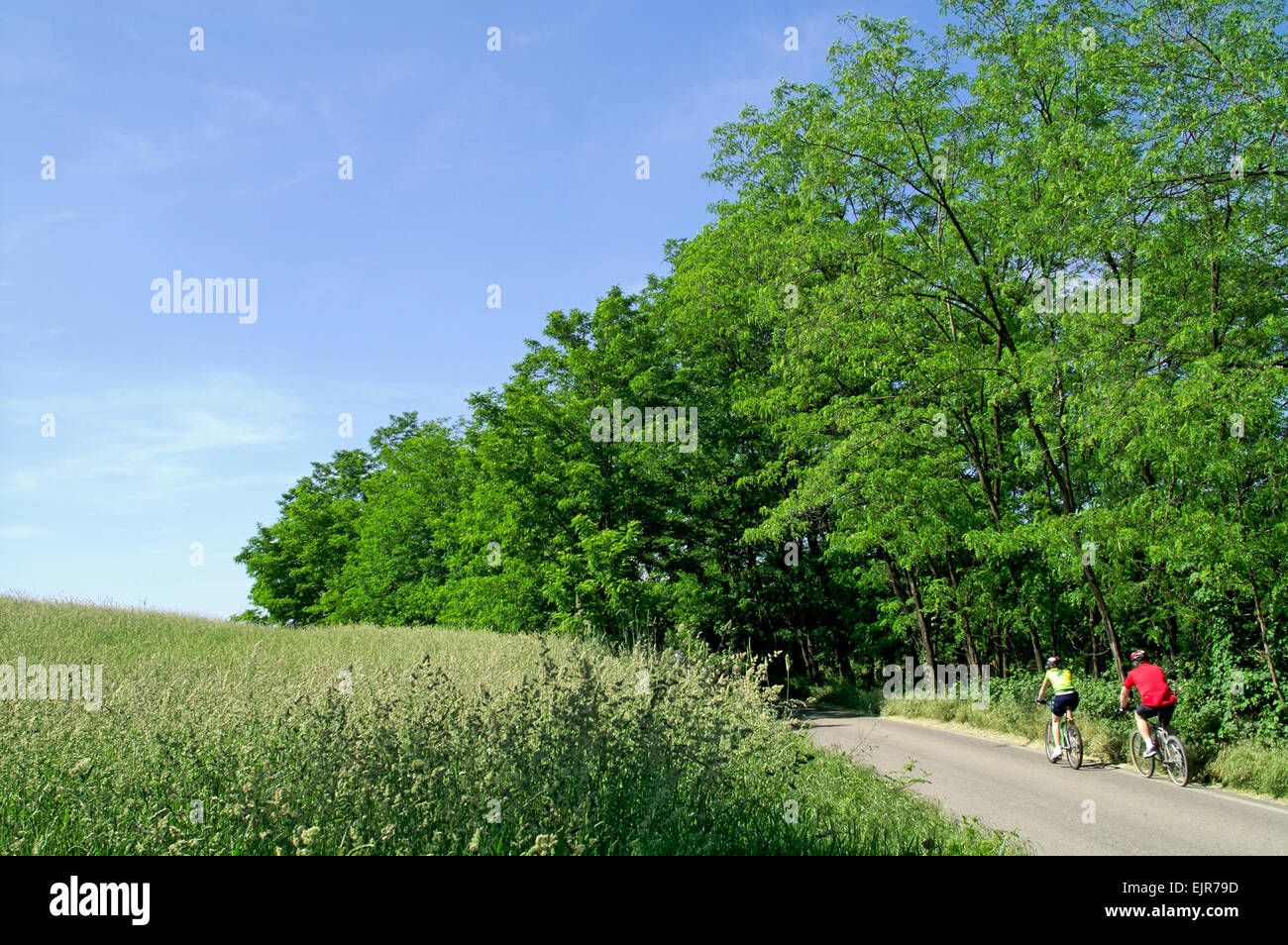Two cyclists in the countryside Stock Photo - Alamy