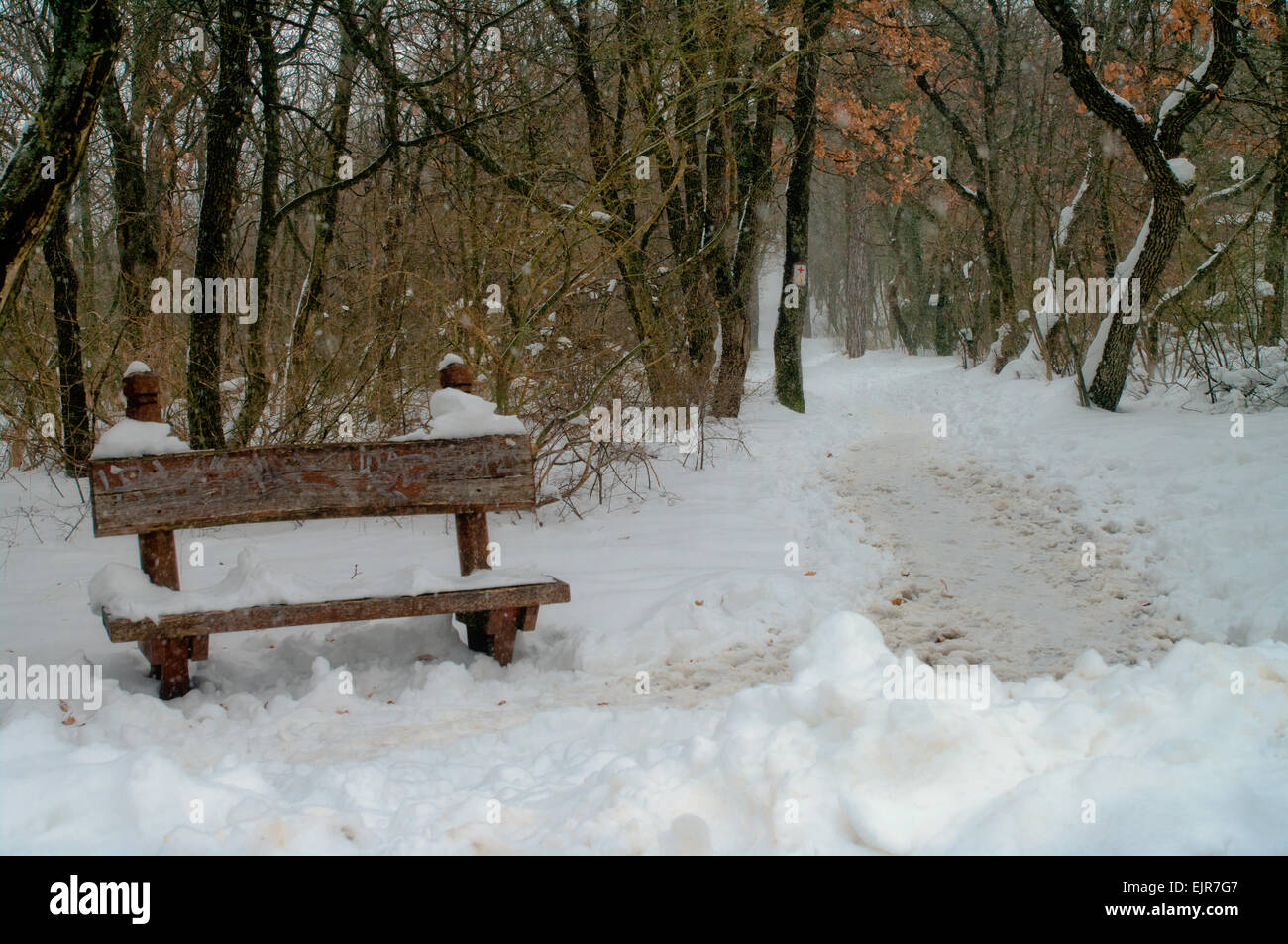 bench background beautiful beauty chill cold color colorful cool day ...