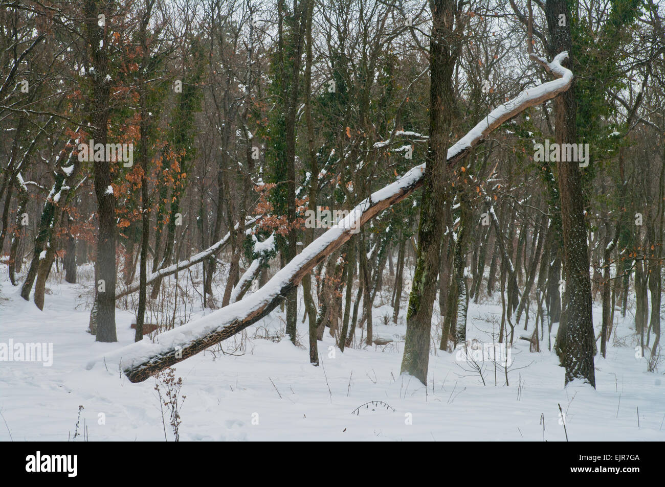 background beautiful beauty chill cold color colorful cool day europe ...