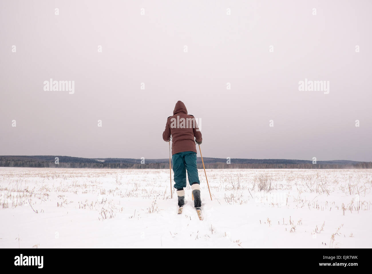 Cross country skiing environment hi-res stock photography and images ...
