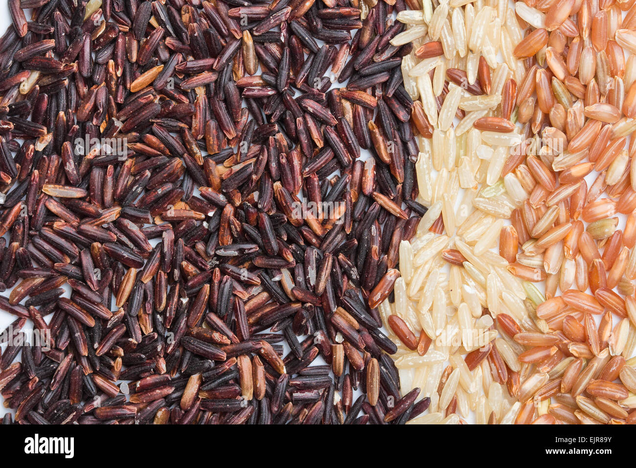 Black rice variety hi-res stock photography and images - Alamy