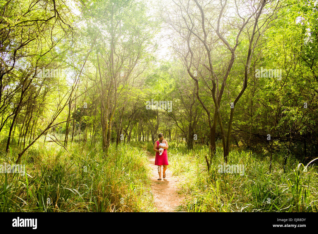 Jungle 2 jungle hi-res stock photography and images - Alamy
