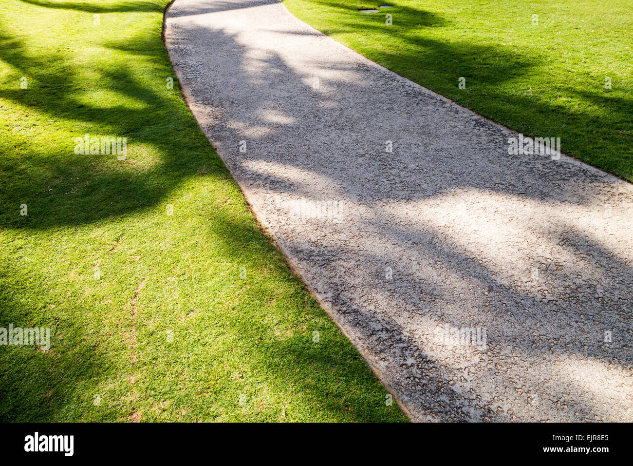 Concrete tree hi-res stock photography and images - Alamy