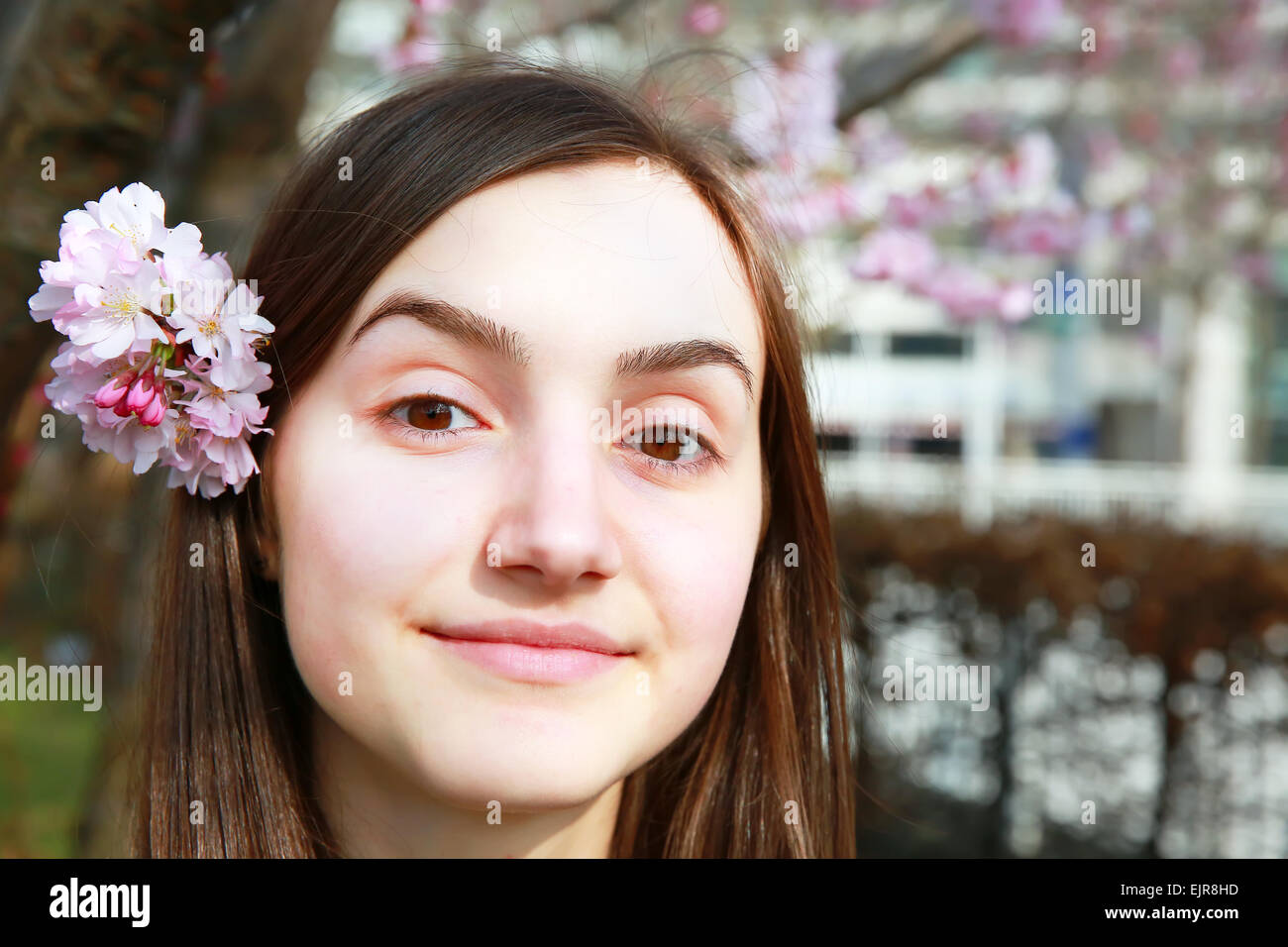 Caucasian woman blooming cherry tree hi-res stock photography and ...