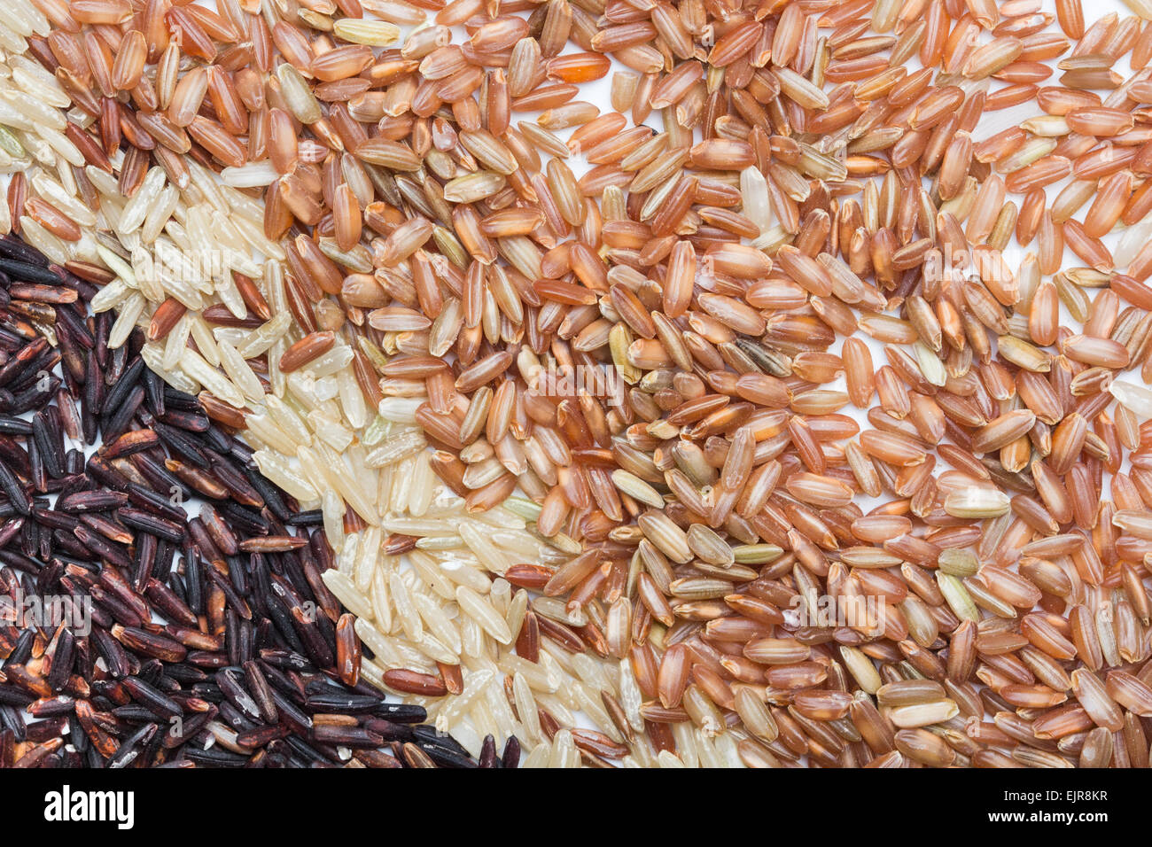 Black rice variety hi-res stock photography and images - Alamy