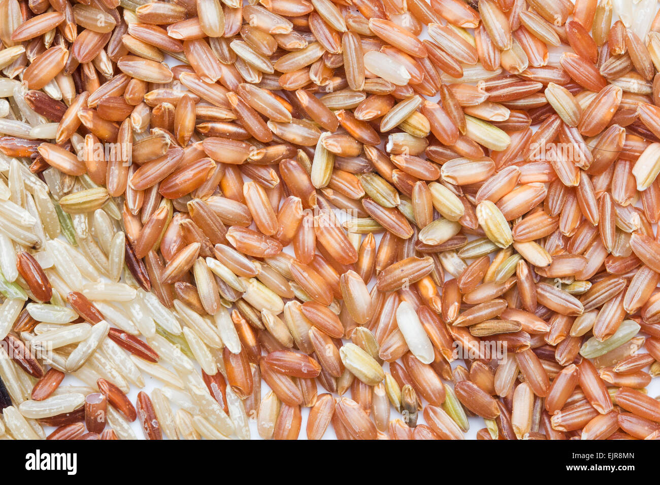 Brown rice pattern full frame background Stock Photo - Alamy