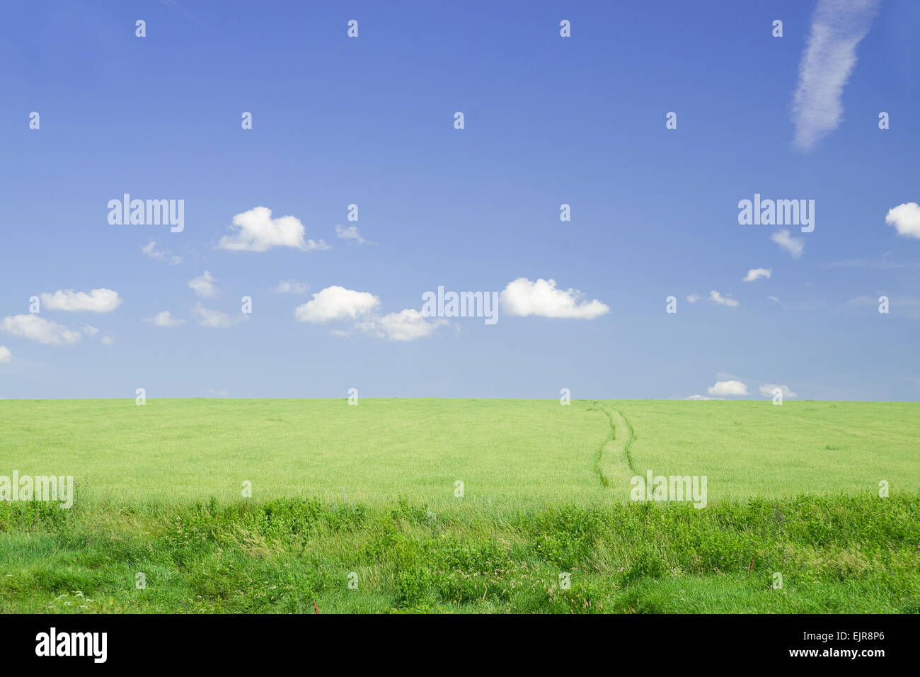 Flatland sphere hi-res stock photography and images - Alamy
