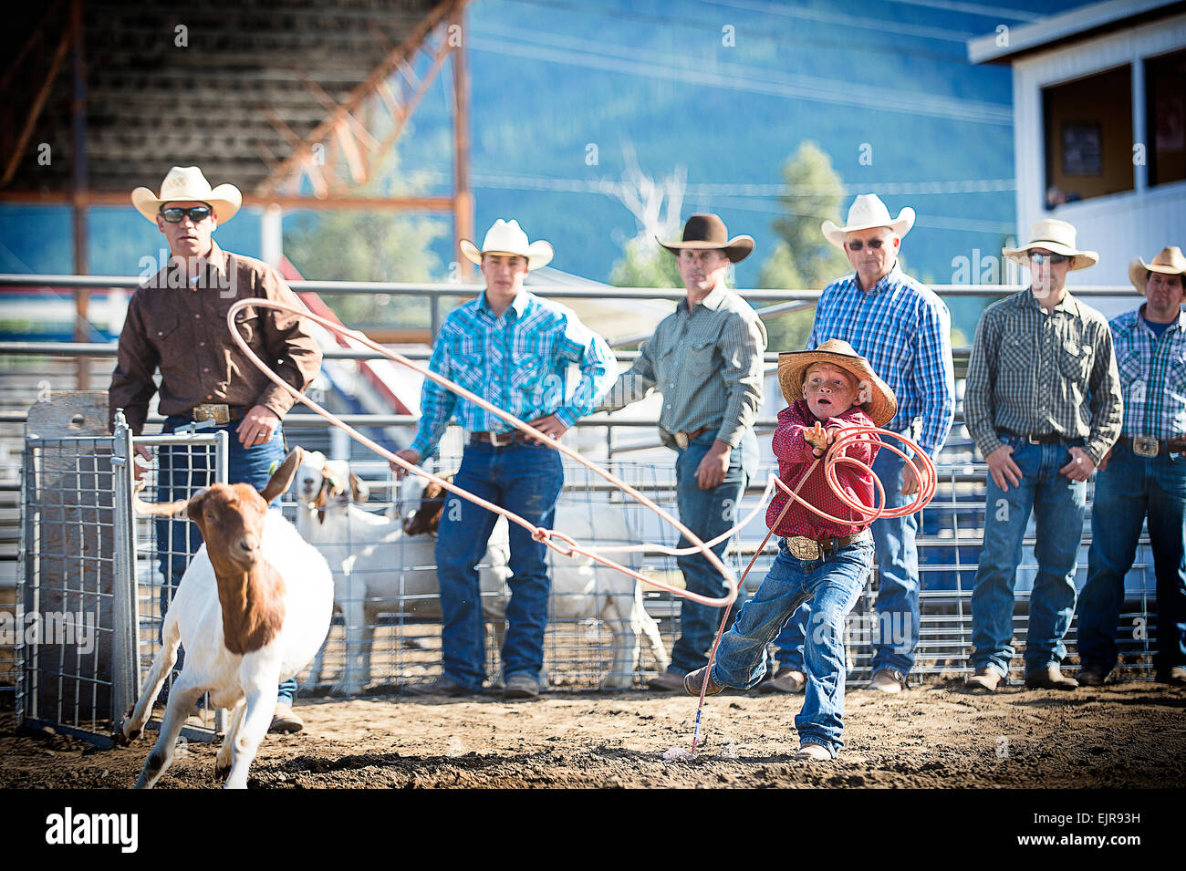 Cowboys teaching boy to lasso goat at rodeo Stock Photo - Alamy