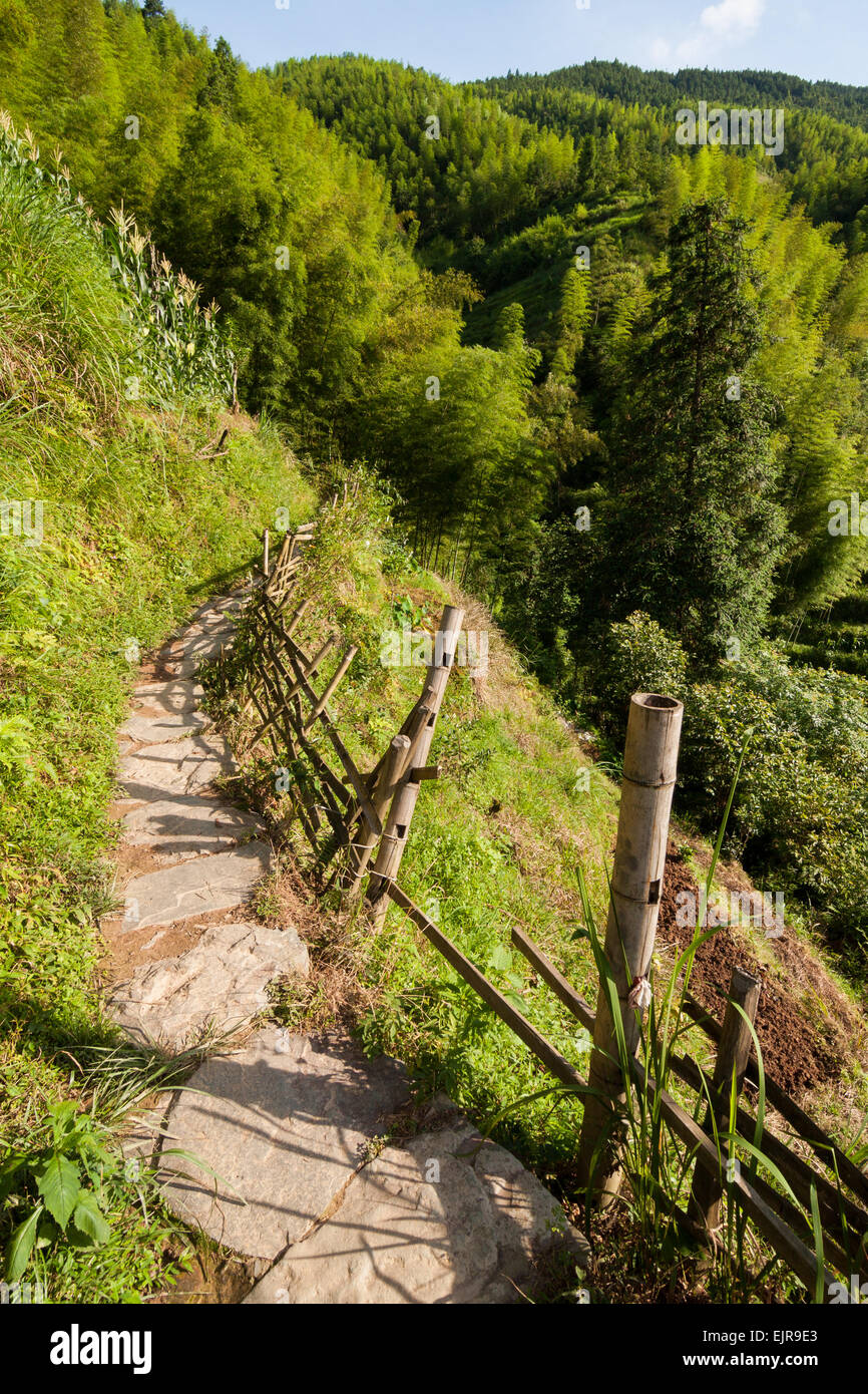 Chinese mountains and stone pathway Stock Photo - Alamy