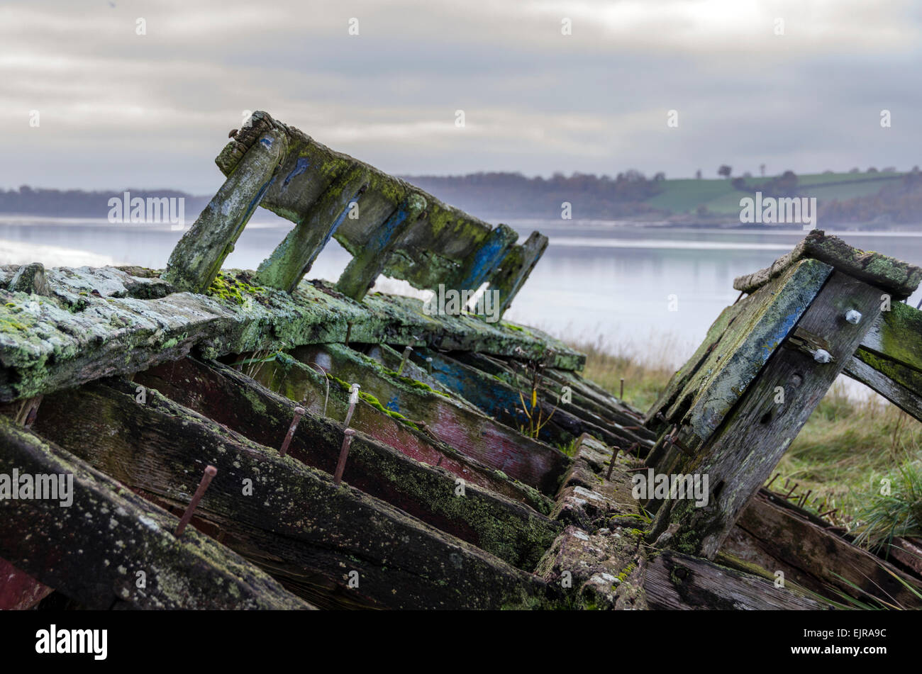 Purton Ships Graveyard on the River Severn near Sharpness . Many old ...