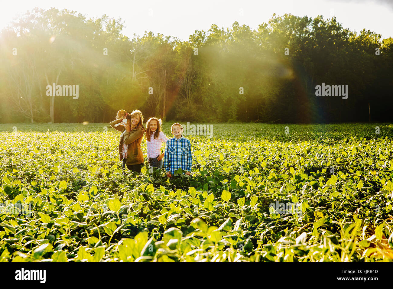 Caucasian family standing in crop field on farm Stock Photo - Alamy