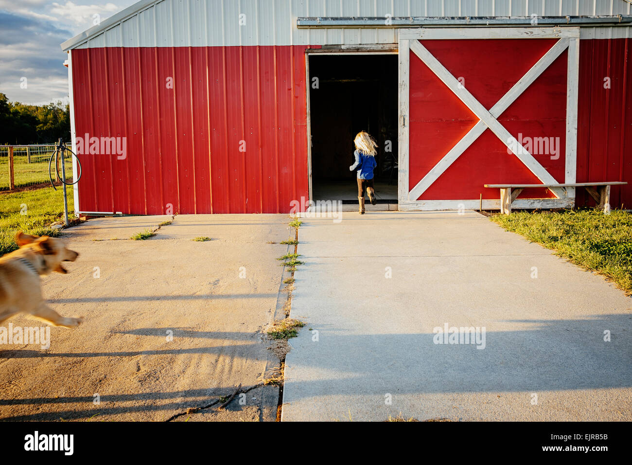 Caucasian girl running to barn on farm Stock Photo - Alamy