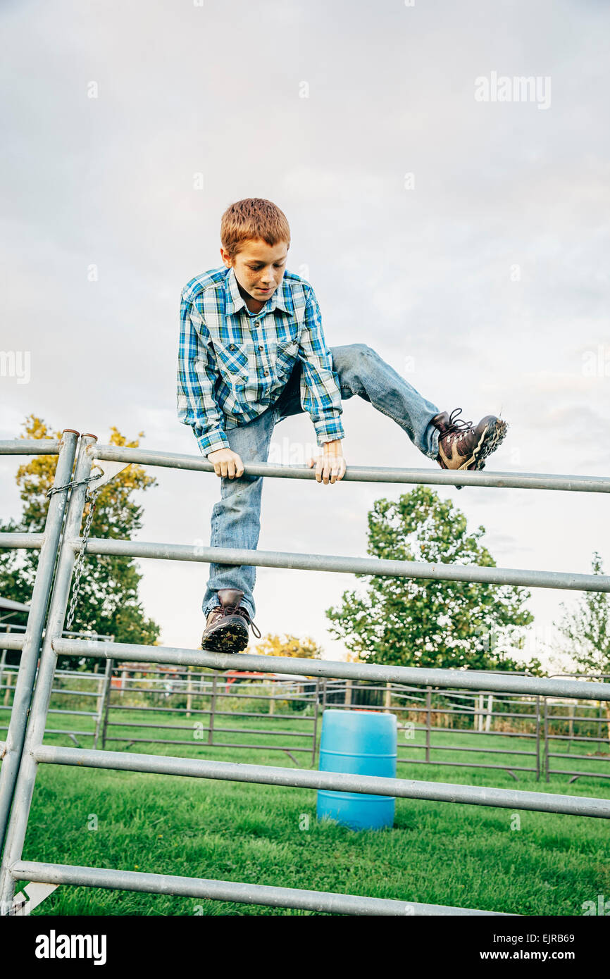 Caucasian boy climbing fence on farm Stock Photo - Alamy