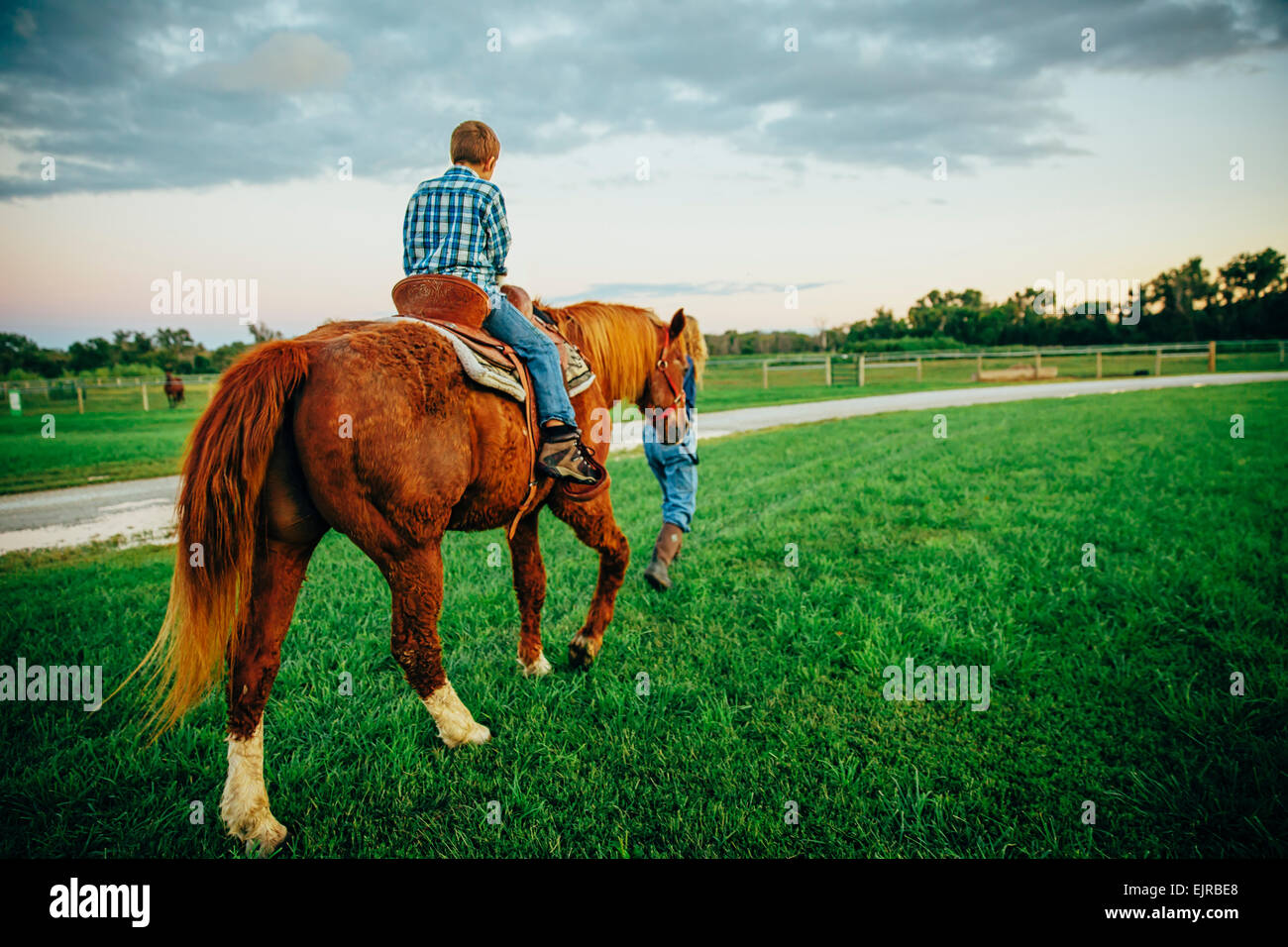 Caucasian mother and son walking horse on ranch Stock Photo - Alamy