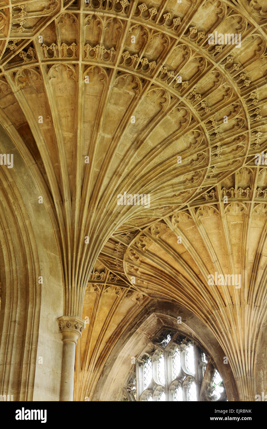 Ribbed vaulting hi-res stock photography and images - Alamy