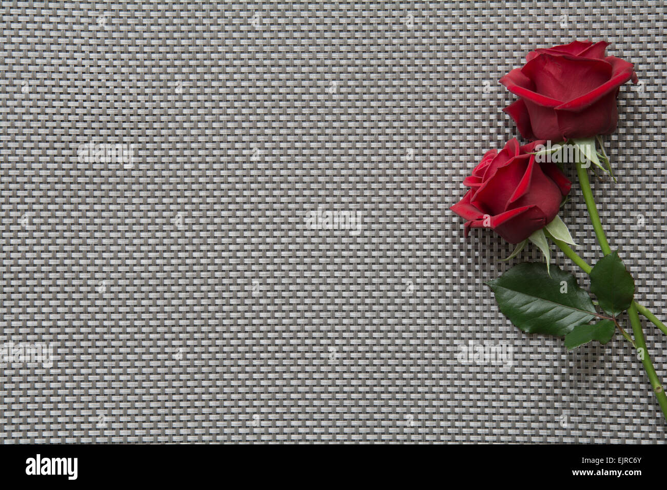 Red roses on background with space for text Stock Photo - Alamy