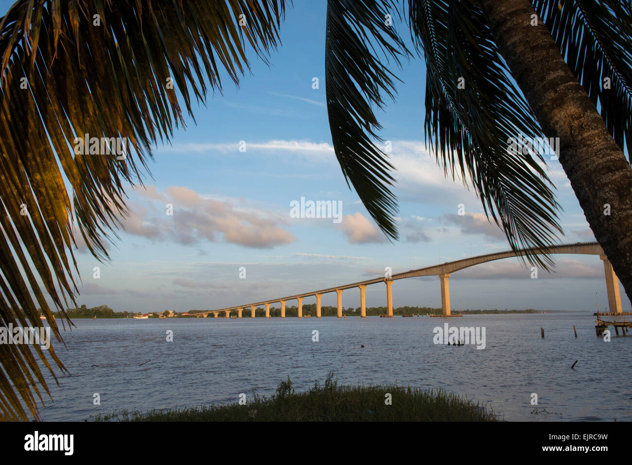 Jules Wijdenbosch Bridge over the Suriname River, Paramaribo, Suriname ...