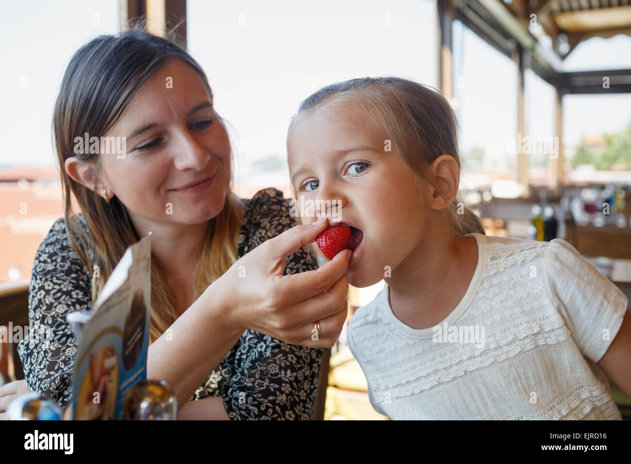 Mum feeds the child delicious sweet strawberries in the restaurant ...