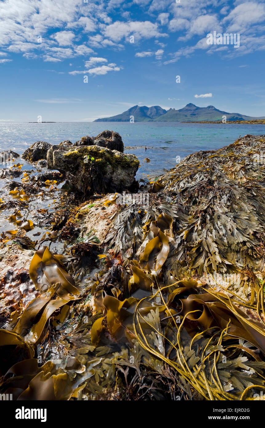 Bay of laig eigg hi-res stock photography and images - Alamy
