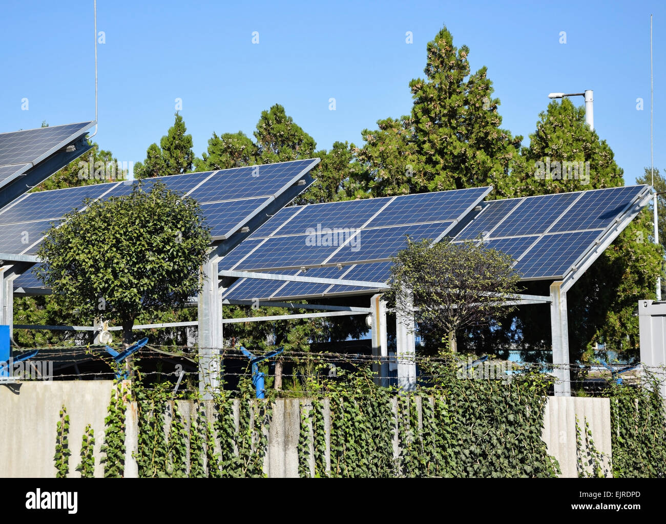 Solar panels next to some trees Stock Photo - Alamy