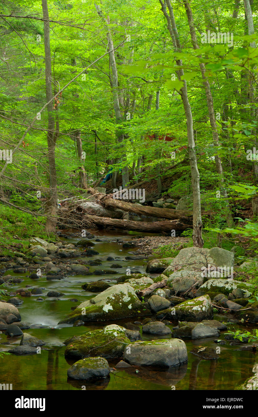 Bible Rock Brook, Seven Falls State Park, Connecticut Stock Photo - Alamy