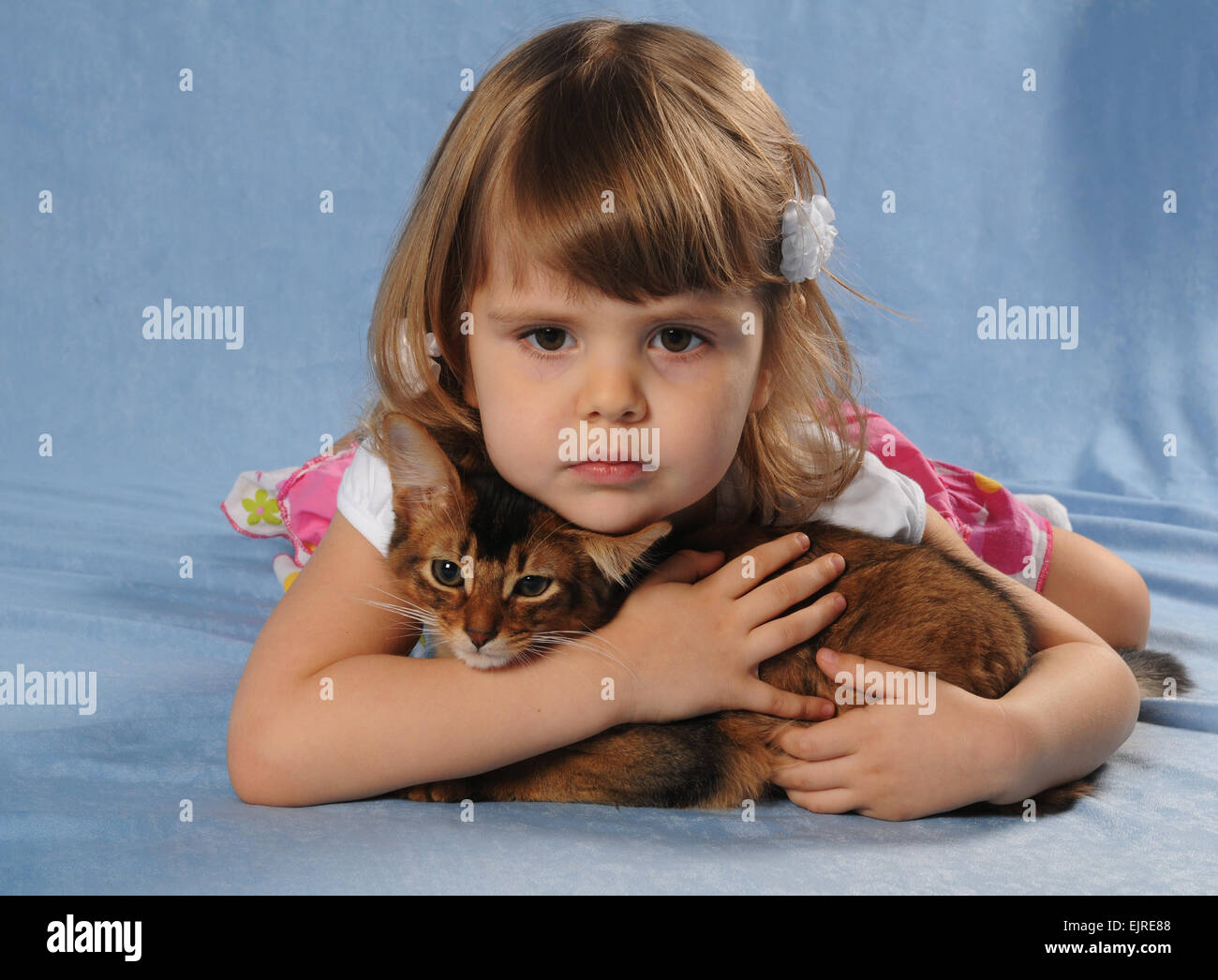 Little girl lying with somali kitten ruddy color very sad and upset and ...