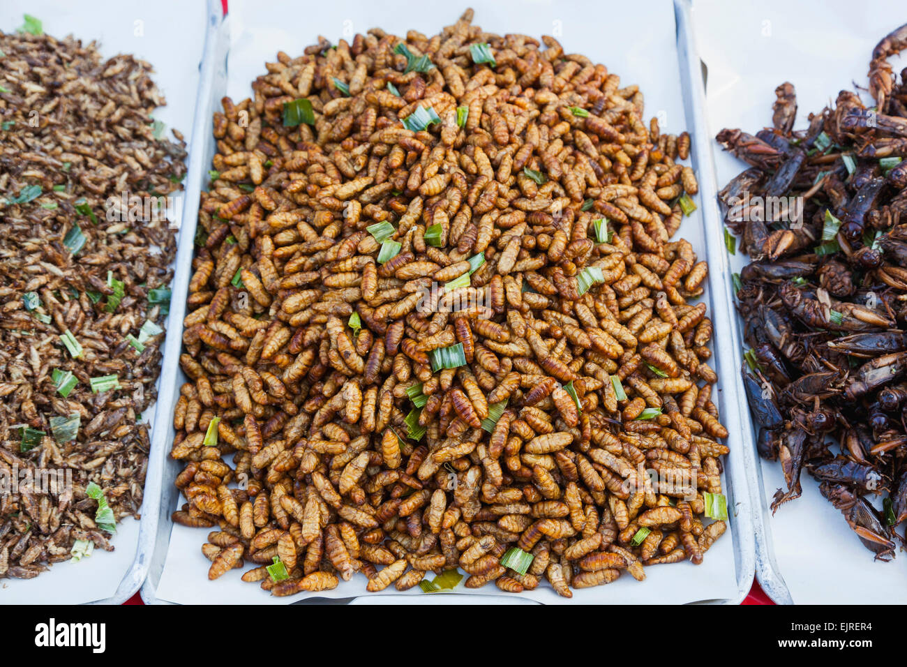 Shopping bugs hi-res stock photography and images - Alamy