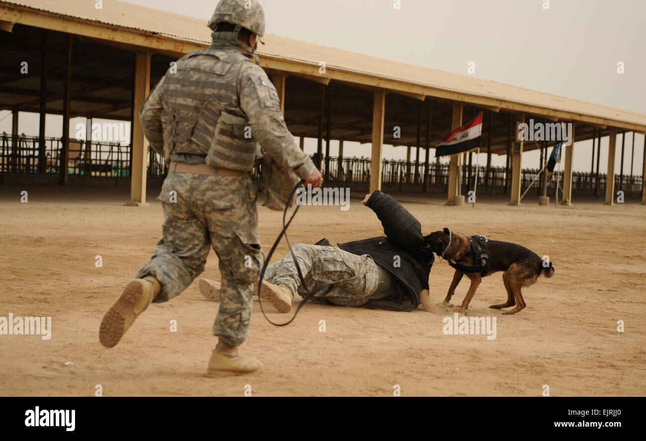 U.S. Army Sgt. Troy Stiner from Pittsburg, Pa., of the 2nd Special ...