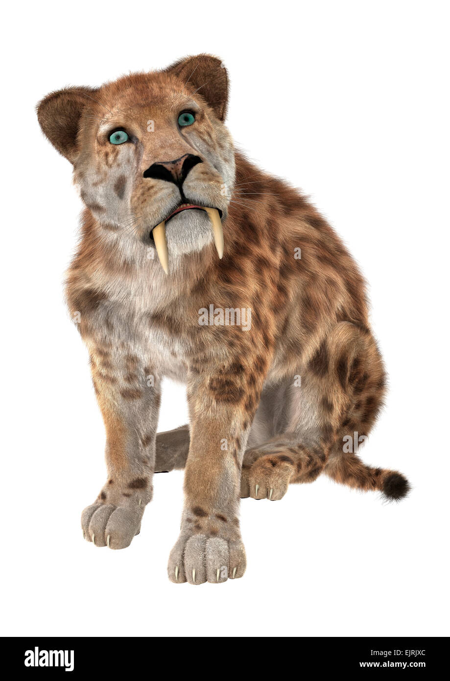 3D digital render of a sitting smilodon or a saber toothed cat isolated ...