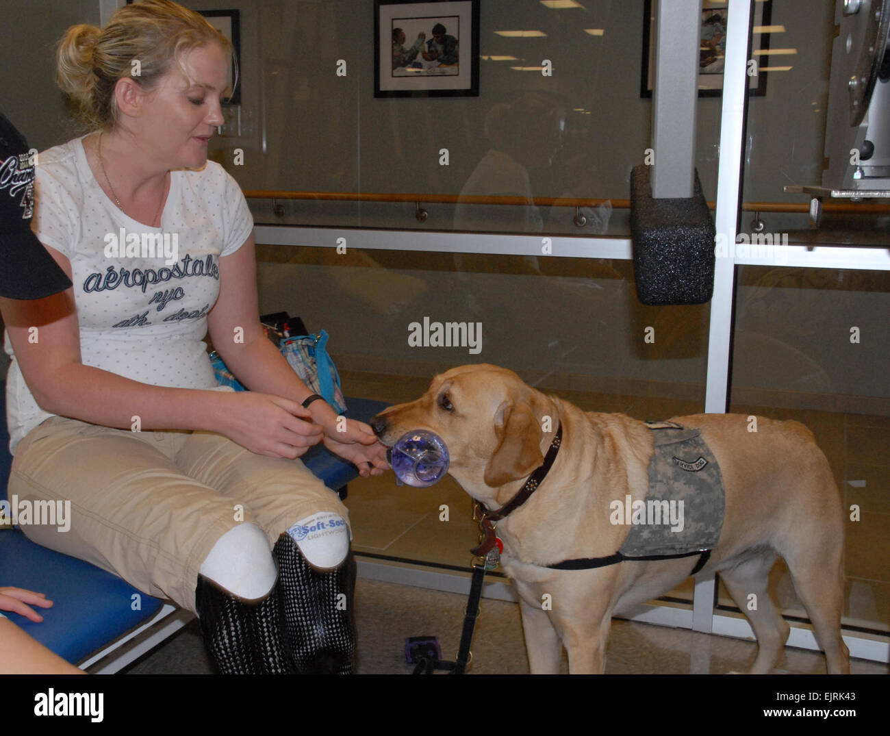 Service Dogs Elizabeth M. Lorge June 27, 2008 Lyla, a service dog ...