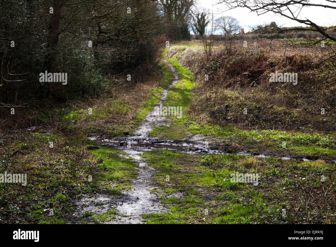 A public right of way running through the countryside in County Durham ...