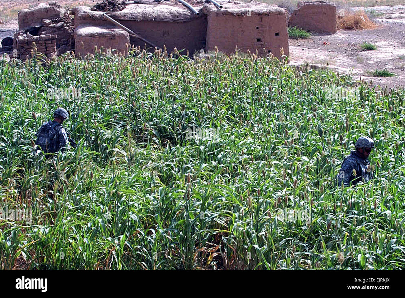 Company Delta, 2nd Battalion, 22nd Infantry Regiment, Soldiers search a ...