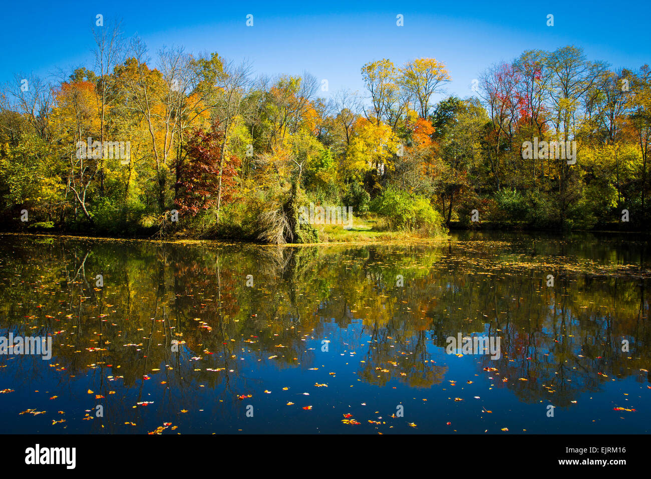 Beautiful trees are reflected in the water at the Delaware and Raritan ...