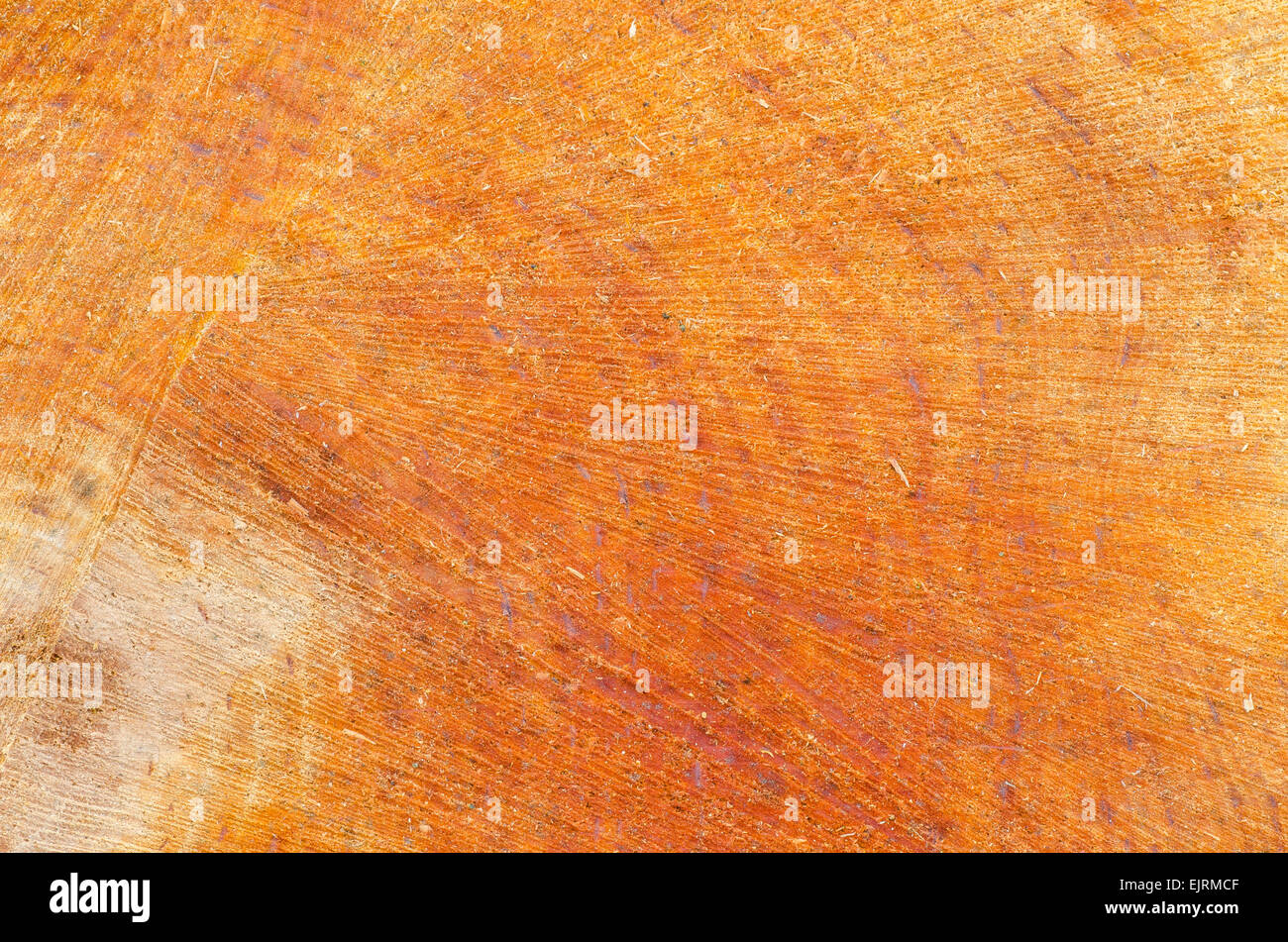 closeup to cut tree trunk texture background Stock Photo - Alamy