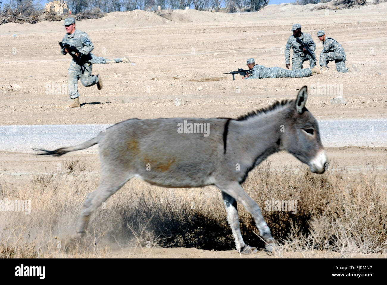 The U.S. Army Scouts of Headquarters Company, 2nd Battalion, 12th ...
