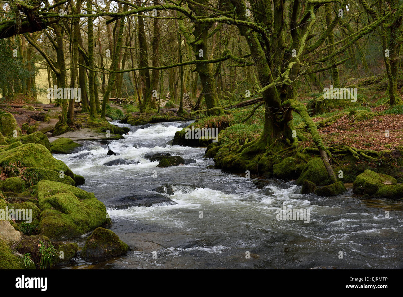 River fowey cornwall hi-res stock photography and images - Alamy