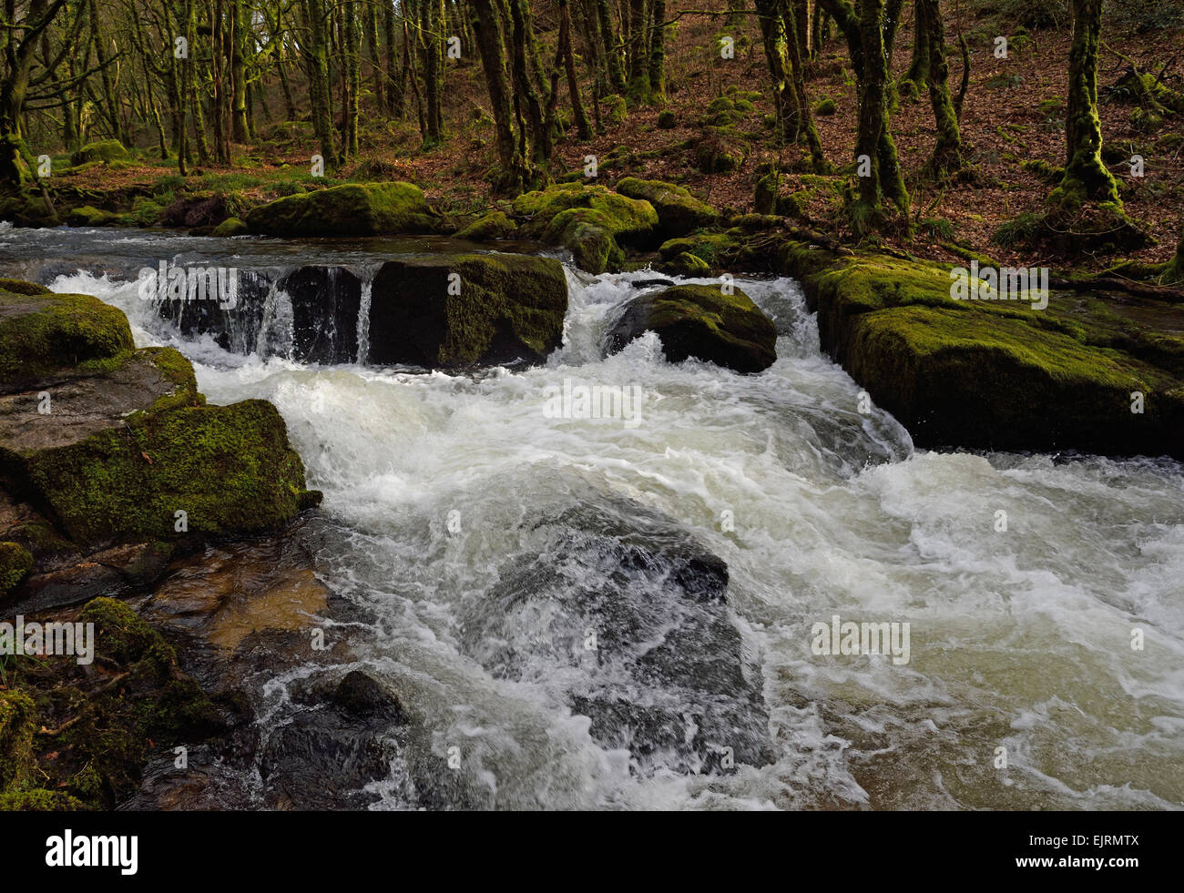 River fowey cornwall hi-res stock photography and images - Alamy