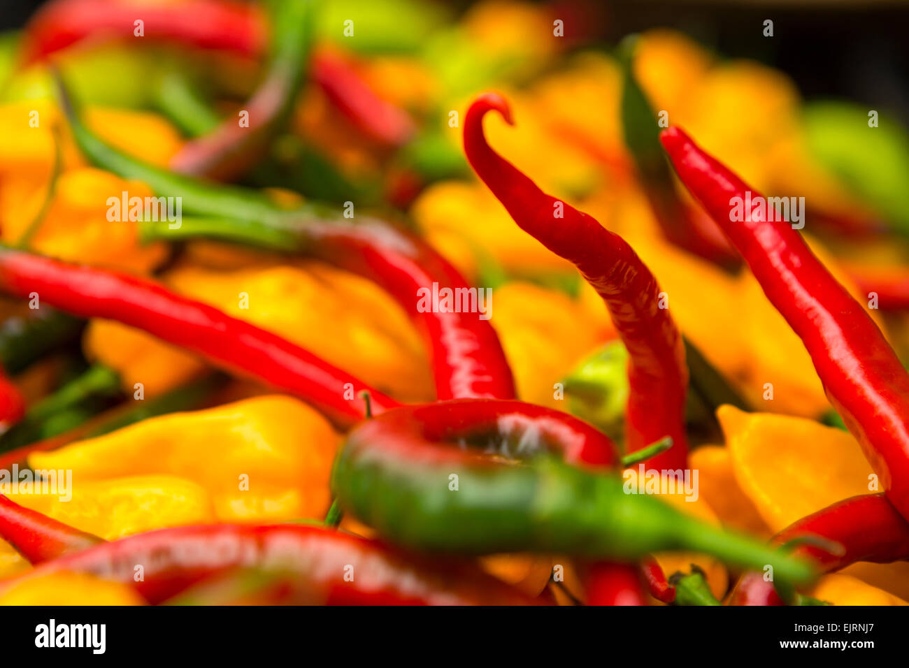 Organic peppers from a local market Stock Photo - Alamy