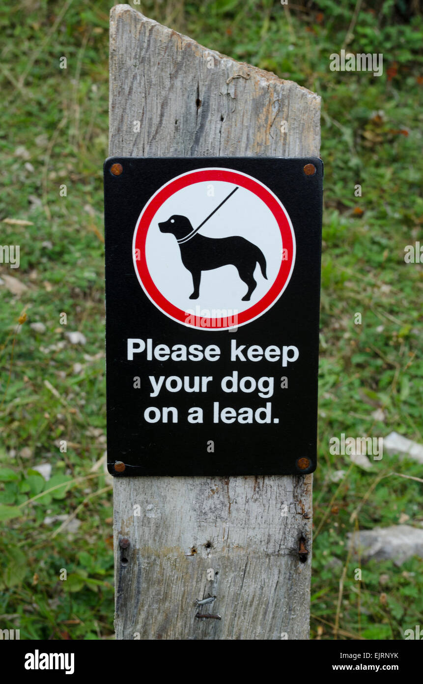Sign attached to a wooden post asking for dogs to be kept on their lead ...