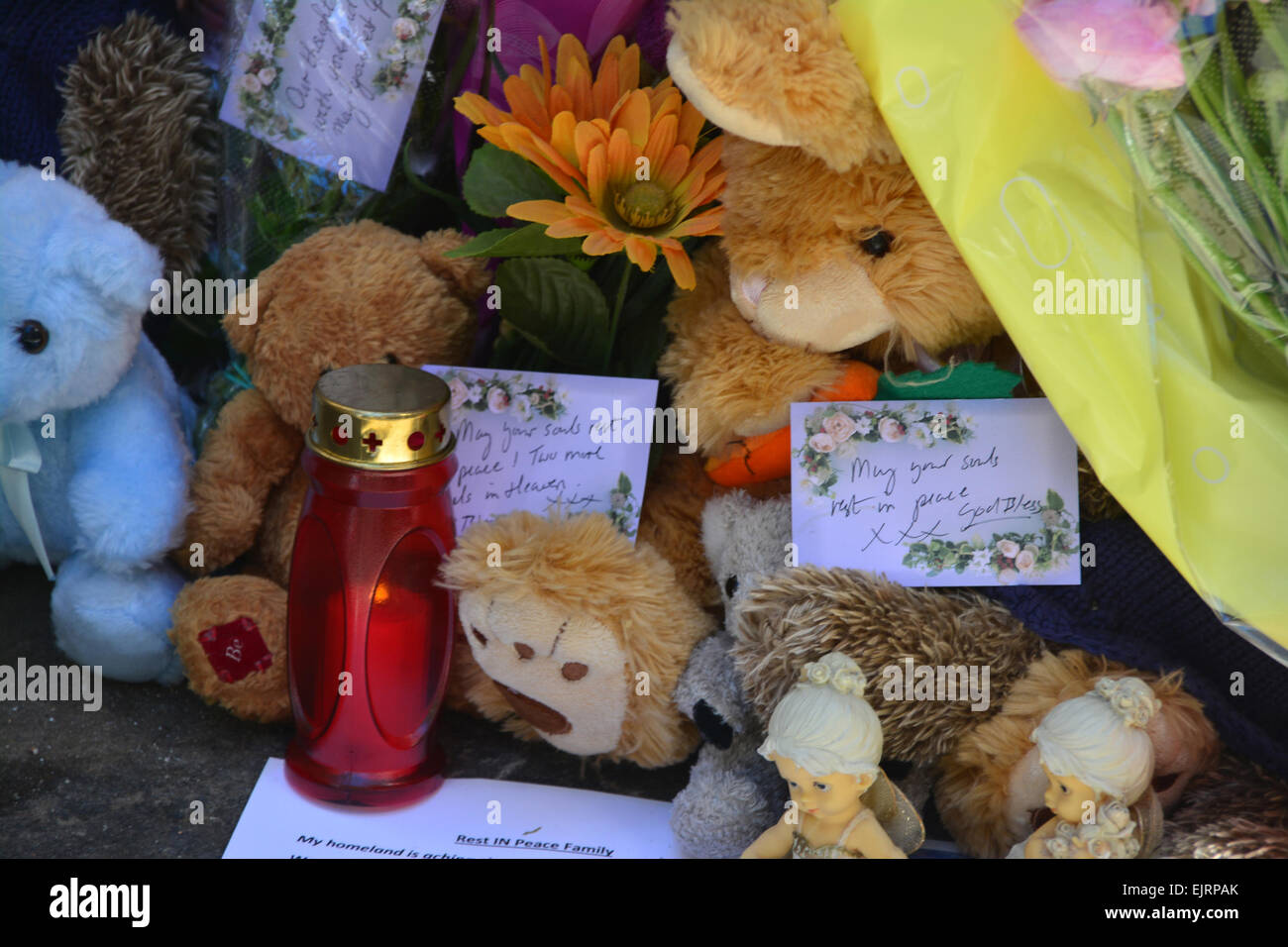 Bears stephen hi-res stock photography and images - Alamy