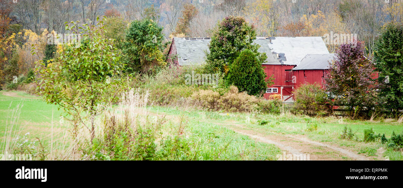 An old red barn with autumn trees surrounding it; pan0ramic view Stock ...