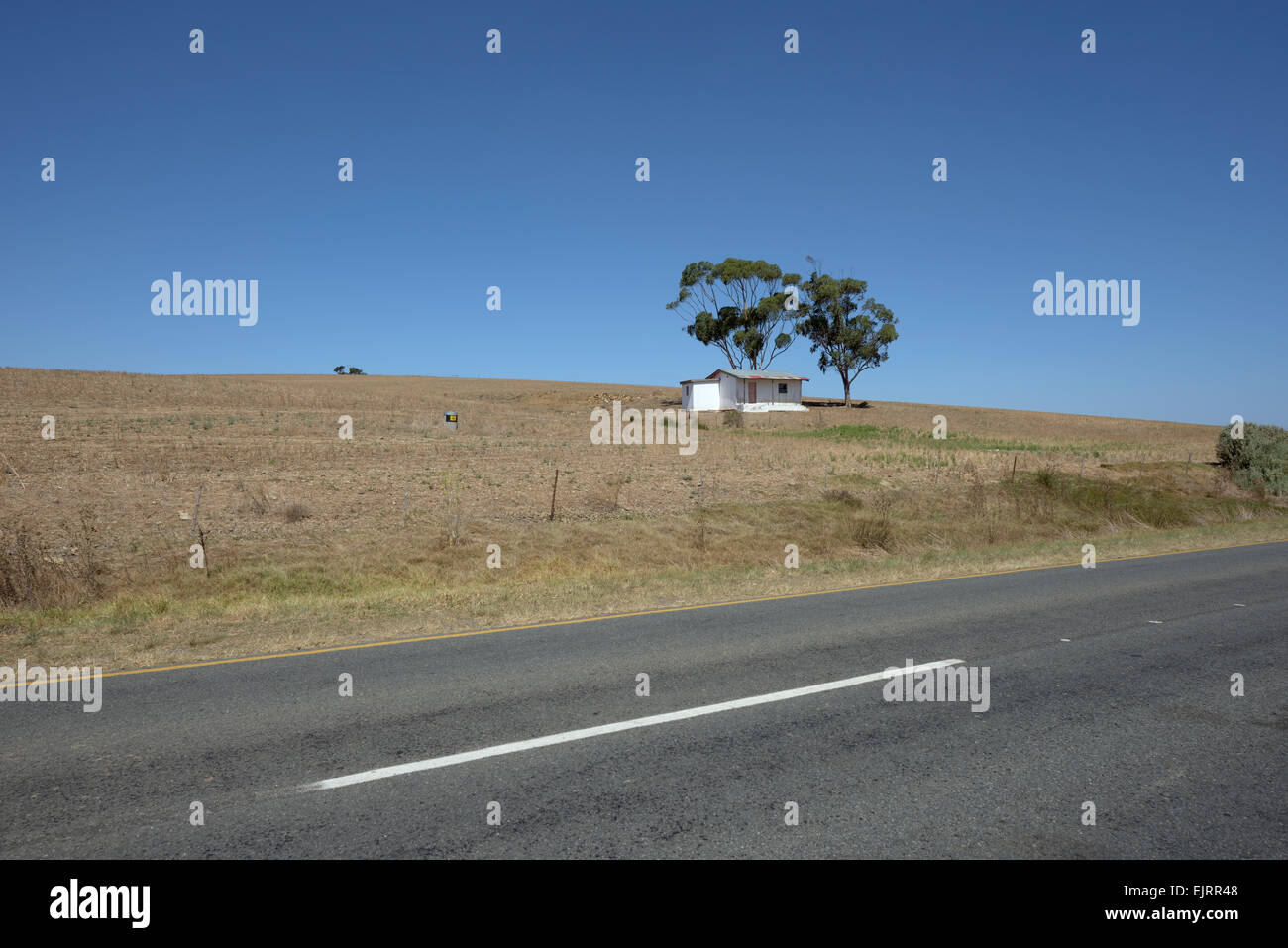Solitary house under trees hi-res stock photography and images - Alamy